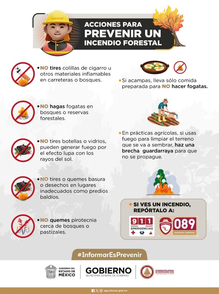 ¿Cómo prevenir incendios forestales? - Marcaje Legislativo